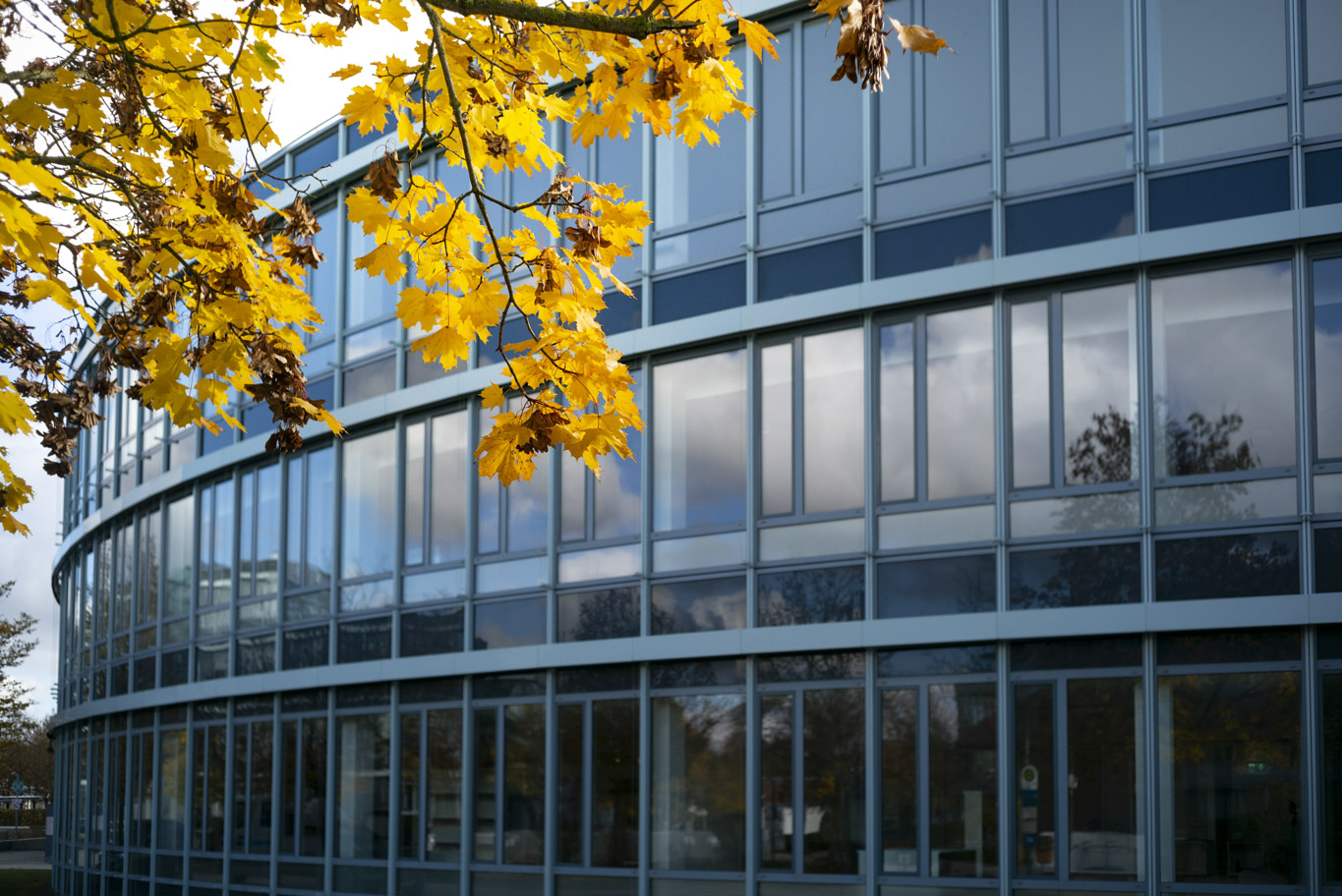 Business Destination Hallbergmoos: Top 5 Jobs | Oktober 2022